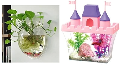 Small fish tanks that are cute and functional | HT Shop Now