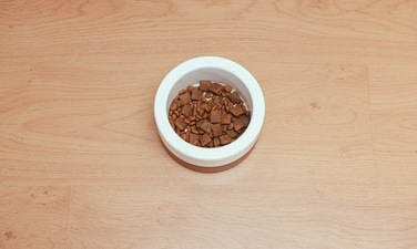 Best Drool dog food for taste and health of your furry friend | HT Shop Now