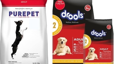 Best dry dog food options: Buying guide | HT Shop Now