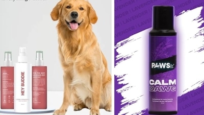 Best dog perfume: 10 options to keep your furry pal smelling awesome ...