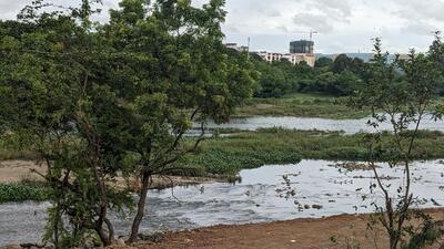 State government forms committee to review Pune’s floodline | Hindustan ...