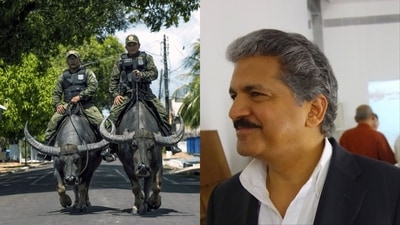 Anand Mahindra’s ‘bullish’ take on Microsoft’s global outage. Internet ...