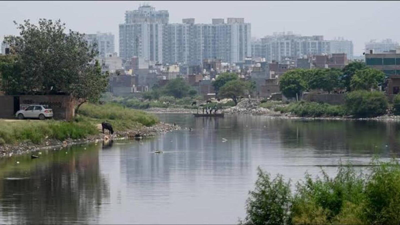 GB Nagar: Admin submits action taken report to NGT over encroachment on ...