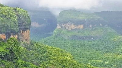 At 2,515 villages, Maharashtra’s eco-sensitive area up 17%; 333 hamlets ...