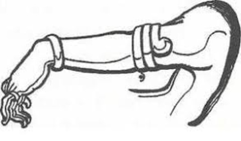 World Elephant Day: Exploring the relationship between Indian classical ...