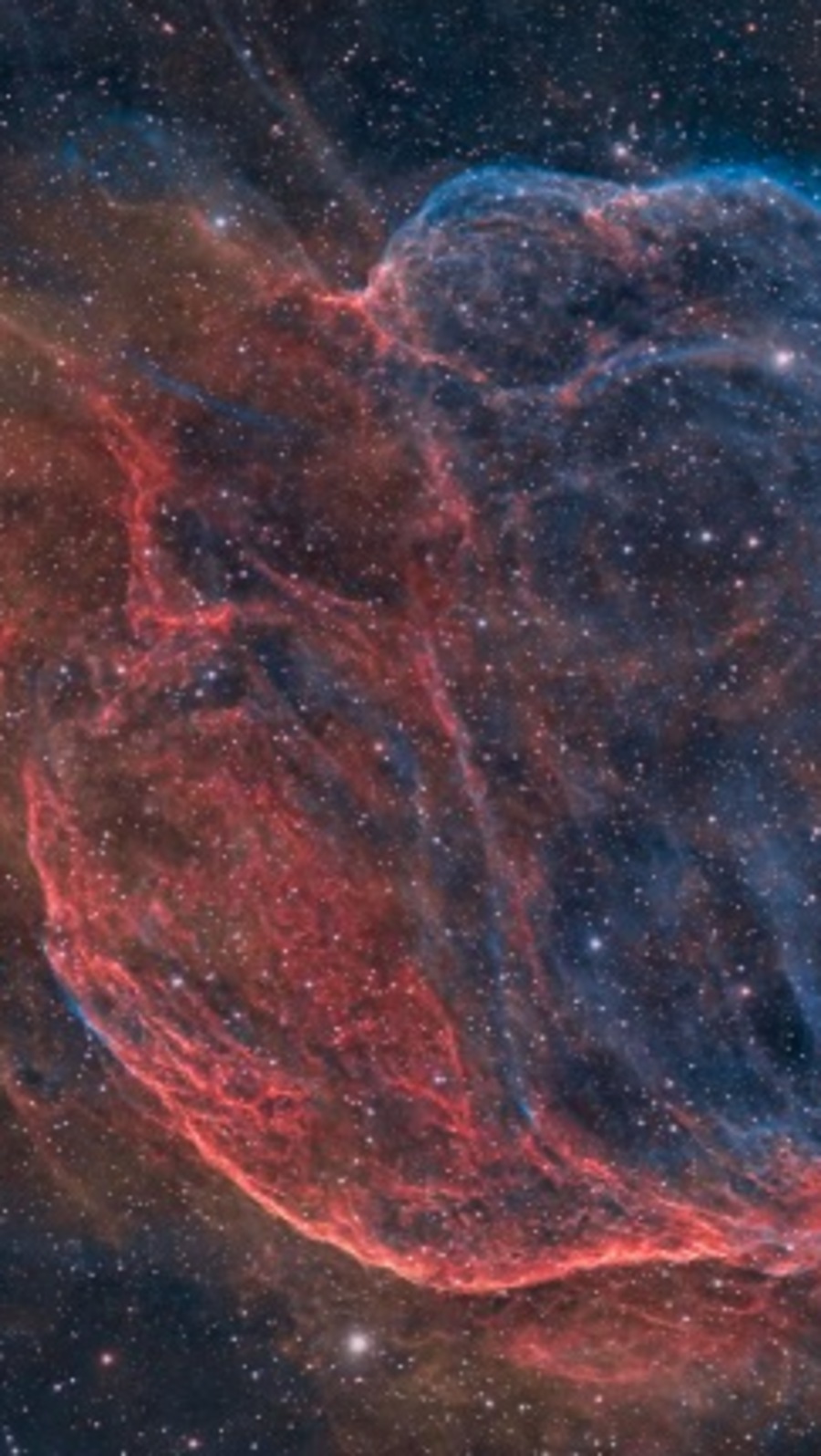 5 mesmerising images of seafood-shaped nebulae captured by NASA ...