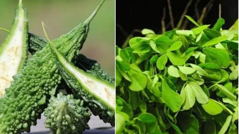 Bitter Foods: ಉಪ್ಪು, ಖಾರದ ಜೊತೆಗೆ ಕಹಿಯೂ ಇರಲಿ...ಇದರಿಂದ ಏನೆಲ್ಲಾ ...