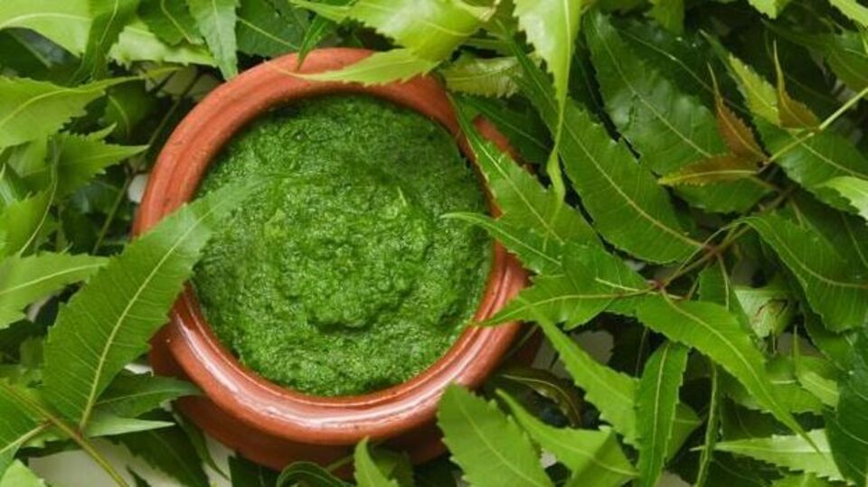 Neem Hair Mask benefits: ಒಣನೆತ್ತಿ, ಅತಿಯಾದ ಹೊಟ್ಟು, ಕೂದಲು ಉದುರುವಿಕೆ ...
