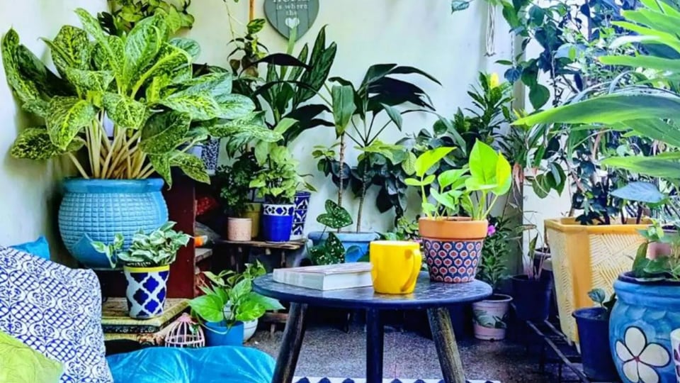 Balcony garden ideas: ಮನೆಯ ಪುಟ್ಟ ಬಾಲ್ಕನಿಯನ್ನು ಸುಂದರ ಗಾರ್ಡನ್‌ ಆಗಿ ...