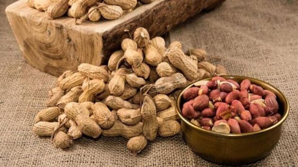 Benefits Of Sprouted Peanuts: ಉತ್ತಮ ಆರೋಗ್ಯಕ್ಕೆ ಬೇಕು ಮೊಳಕೆಯೊಡೆದ ಕಡಲೆಕಾಯಿ ...