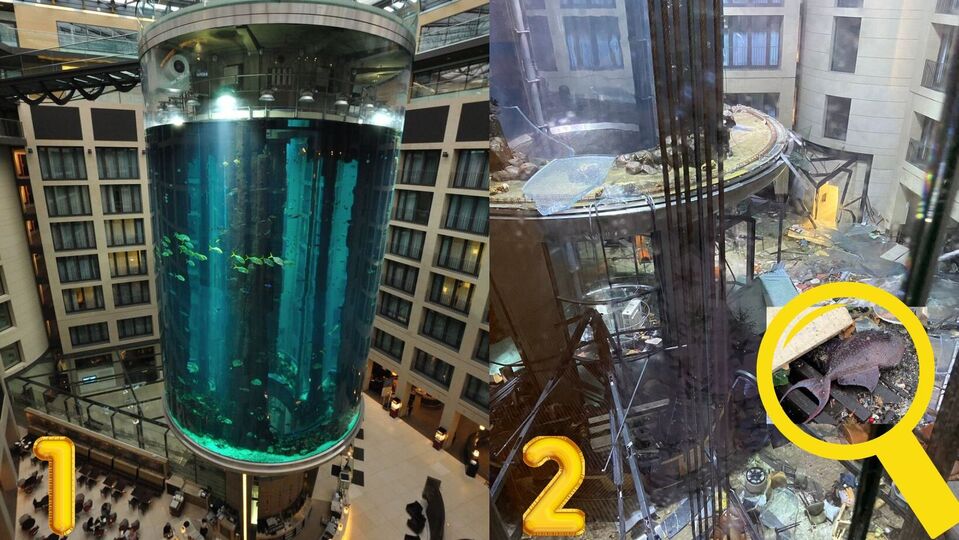 Huge Berlin aquarium bursts: ಬರ್ಲಿನ್‌ನ ಬೃಹತ್‌ ಅಕ್ವೇರಿಯಂ ಸ್ಫೋಟ; ಬೀದಿಗೆ ...