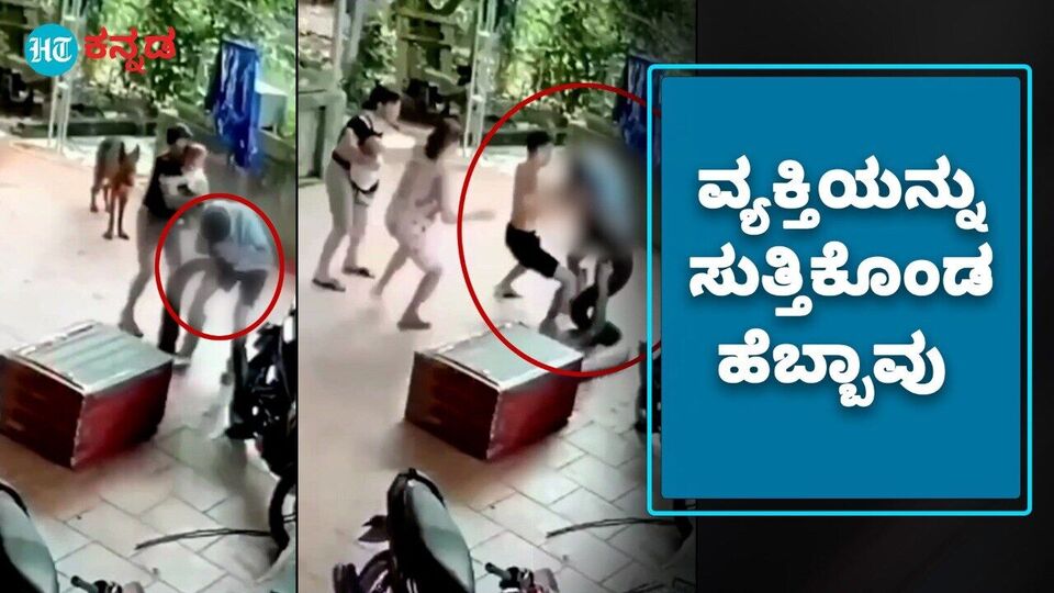 Python Attack: ವ್ಯಕ್ತಿಯ ಮೇಲೆ ಏಕಾಏಕಿ ದಾಳಿ ಮಾಡಿದ ಹೆಬ್ಬಾವು..! ವಿಡಿಯೋ ನೋಡಿ ...