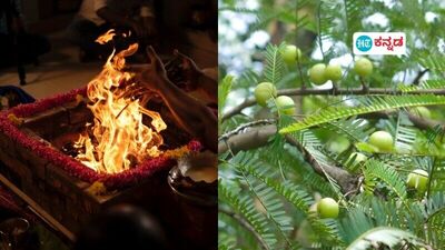 ಧಾತ್ರಿ ಹವನ ಎಂದರೇನು, ಬ್ರಹ್ಮನ ಕಣ್ಣೀರಿನಿಂದ ಹುಟ್ಟಿದ ನೆಲ್ಲಿಕಾಯಿ ಮರ ...