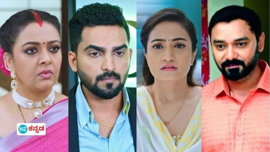 Seetha Raama Serial: ಭಾರ್ಗವಿಯ ಸೇಡಿನ ಆಟಕ್ಕೆ ದಾಳವಾಗ್ತಾನಾ ಲಾಯರ್ ...