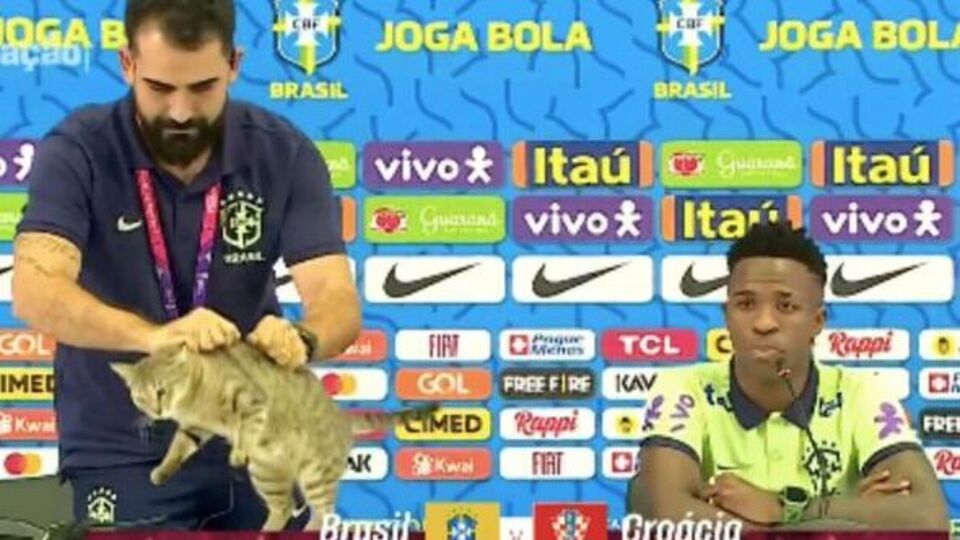 FIFA World Cup: मांजरीला प्रेमानं जवळ घेतलं अन् नंतर फेकून दिलं ...