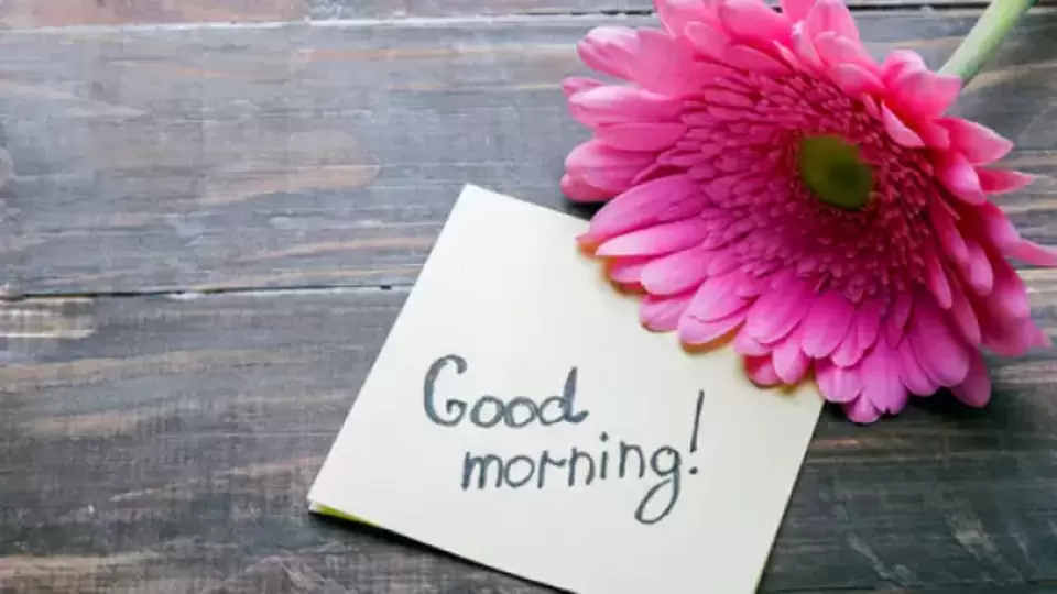 Good Morning Wishes: शनिवारला बनवा हॅप्पी; स्टेटसला ठेवा सुंदर गुड ...