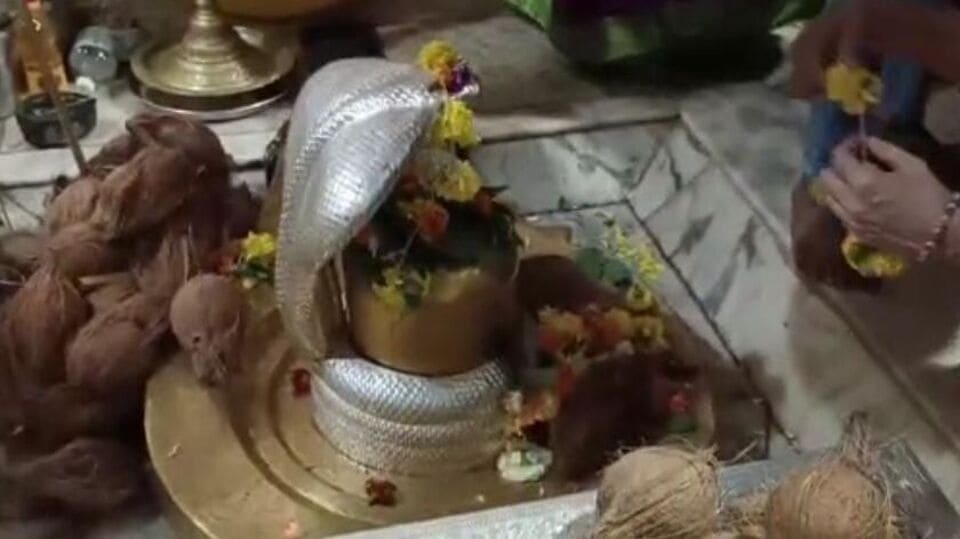 Murbad Mhasa Yatra : सुरु झाली मुरबाडची म्हसा यात्रा, देशाच्या ...