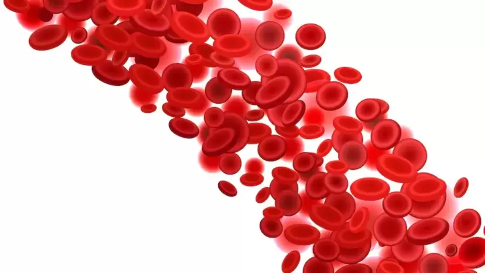 Healthy Blood Easy Tips: रक्त स्वच्छ नसेल तर होऊ शकतात आजार! शुद्धीसाठी ...