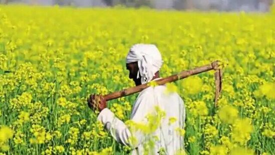 PM Kisan Yojana : पुढच्या चार दिवसांत शेतकऱ्यांच्या खात्यात जमा होणार २ ...