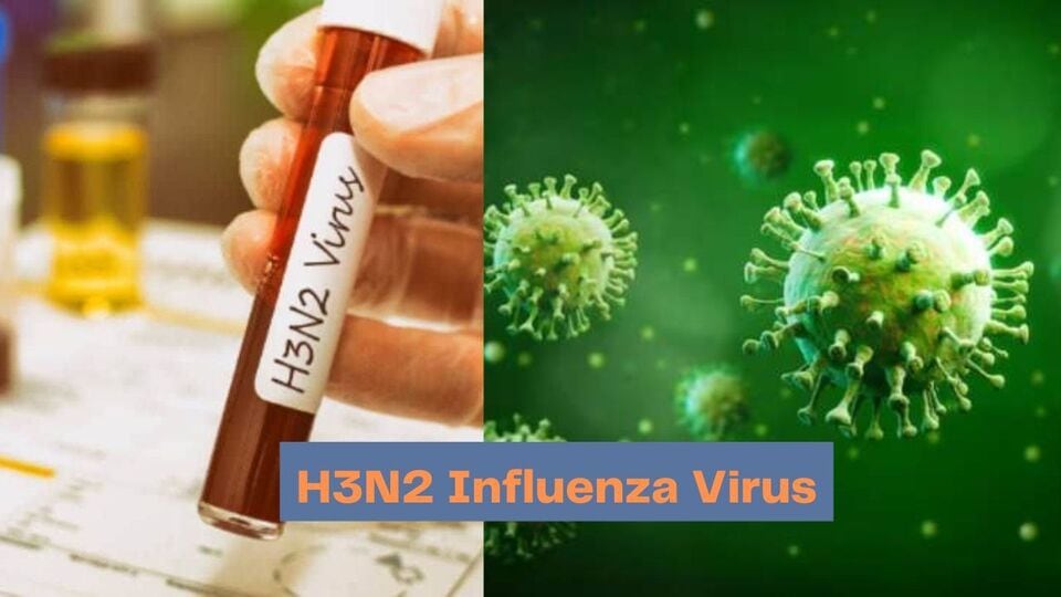 H3N2 Influenza : राज्यात H3N2 चा धोका वाढला, २३ वर्षीय तरुणासह तीन ...