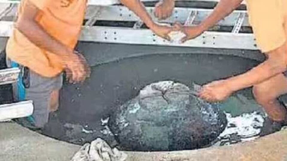 Gyanvapi Case : ‘ज्ञानवापी’बाबत उच्च न्यायालयाचा मोठा निर्णय.. 'शिवलिंग ...