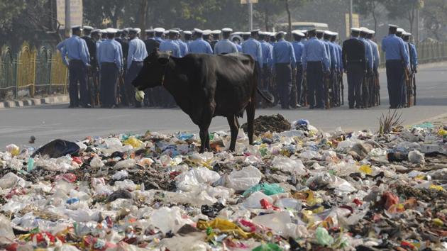Sanitation workers’ protest: Garbage on the streets, Noida becomes a ...