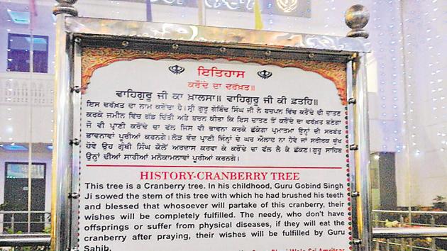This cranberry tree big attraction for Sikh pilgrims at Patna gurdwara ...