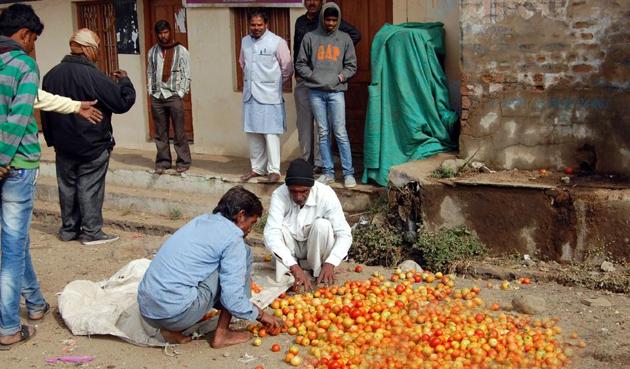 MP: After onions, tomatoes for ₹1/kg, farmers dump produce on streets ...