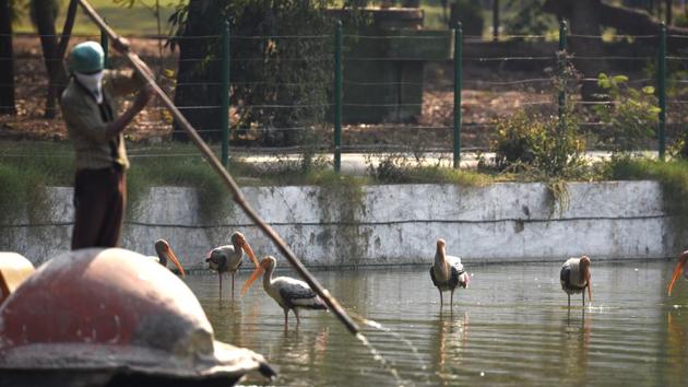 After bird flu scare, Delhi zoo reopens after nearly three months ... After bird flu scare, Delhi zoo reopens after nearly three months ...