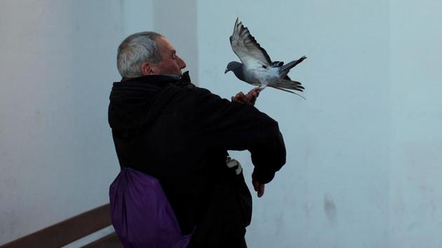 God bless us all: Dogs and birds receive blessings on St. Anthony’s day ...