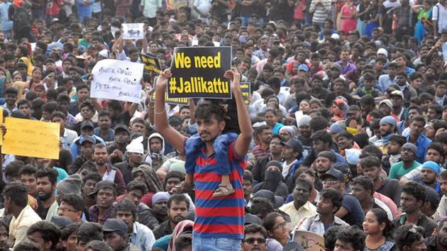 People attend a protest demanding to reverse a Supreme Court ban on the traditional bull-taming contests, known as Jallikattu, at the Marina beach in Chennai.(Reuters Photo)