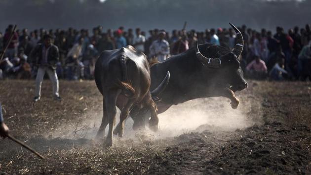 Trump presidency, Jallikattu protests, Iran’s oldest building ablaze ...