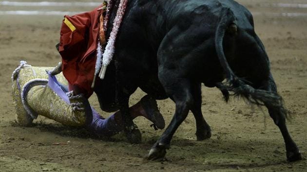 Not just a performance: Horrors of bullfighting | Hindustan Times