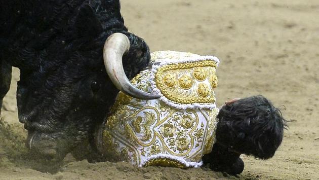 Not just a performance: Horrors of bullfighting | Hindustan Times