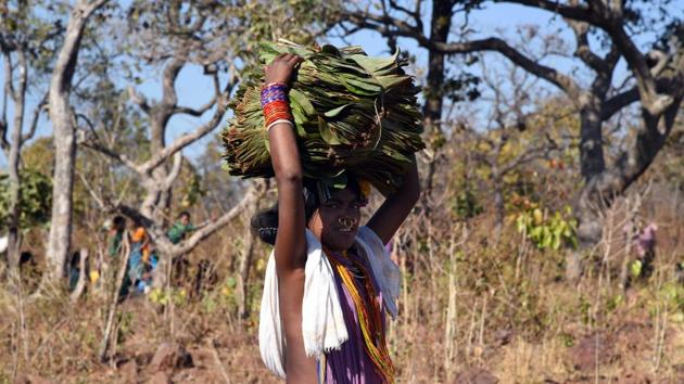 The Dongria tribe of Odisha | Hindustan Times