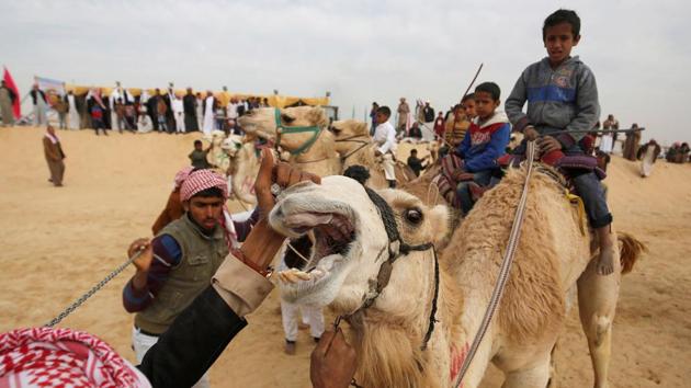 In pictures: International Camel racing festival 2017 | Hindustan Times