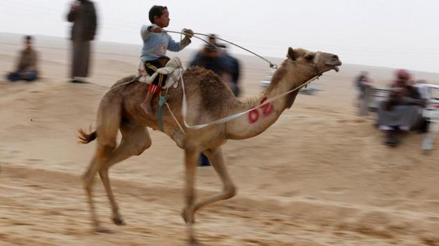 In pictures: International Camel racing festival 2017 | Hindustan Times