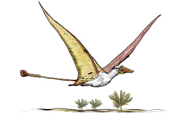 Rajas, Jains, even a Tagore: Meet eight dinosaurs that called India ...