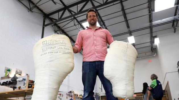 Varginian doctor gives new life to the amputated animals | Hindustan Times