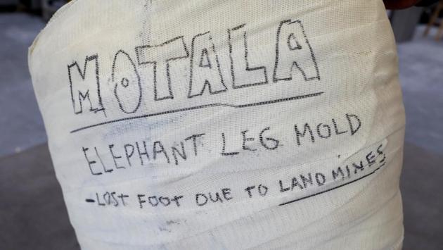 Varginian doctor gives new life to the amputated animals | Hindustan Times