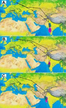 Wildbuzz | Loop of rosefinches and return of the natives | Hindustan Times