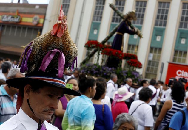 Costa Rica’s famous rooster – Paquito! | Hindustan Times