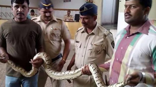 Mumbai jail infested with snakes, 2 caught in 15 days | Mumbai news