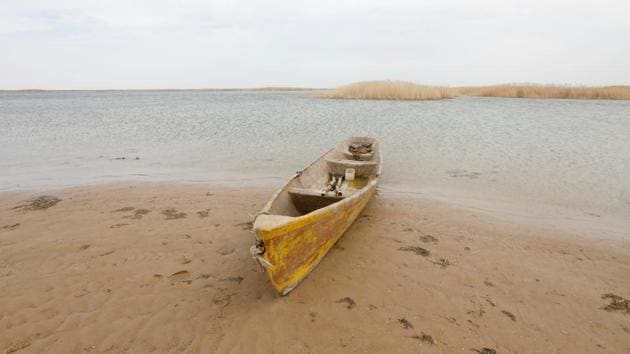 Photos: Dried up Aral Sea springs back to life | Hindustan Times