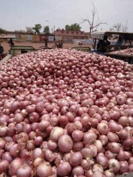 Eating red onions may help combat breast and colon cancer: Study | Health