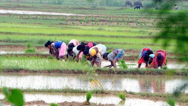 Jharkhand farmers to now get loan against 1 % interest | Hindustan Times