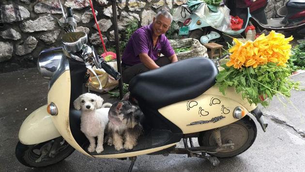 Photos: China’s dog meat festival opens despite ban rumours | Hindustan ...