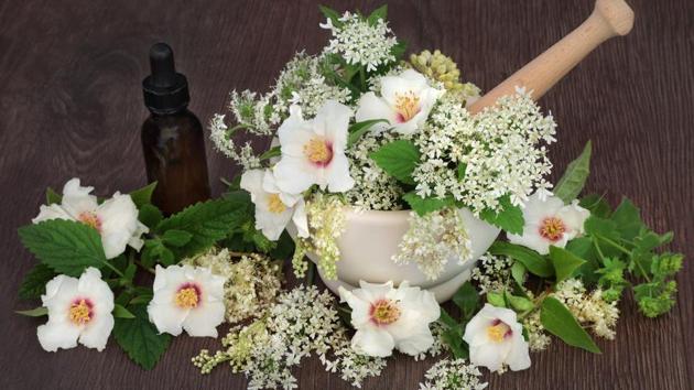 Homoeopathy: Grow a healing garden in your house comprising garlic ...