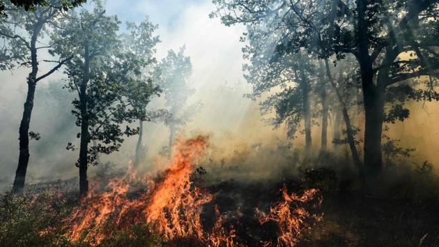 Photos: France forest fire forces evacuation of thousands | Hindustan Times