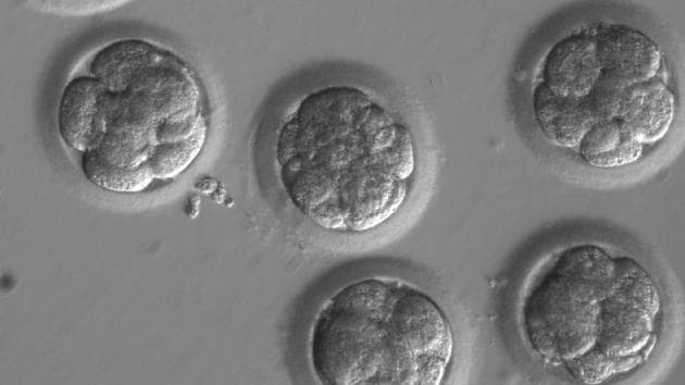 Disease gene ‘edited’ in human embryos in scientific first | World News